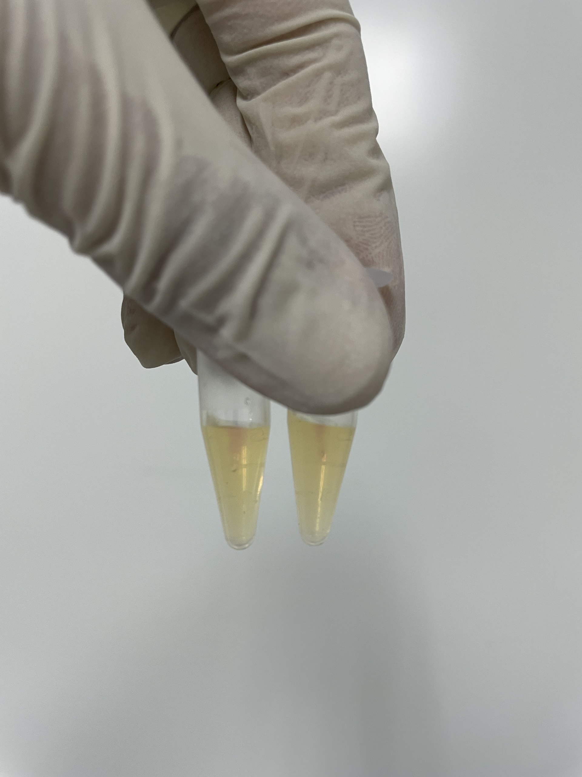 Môi trường sinh hóa